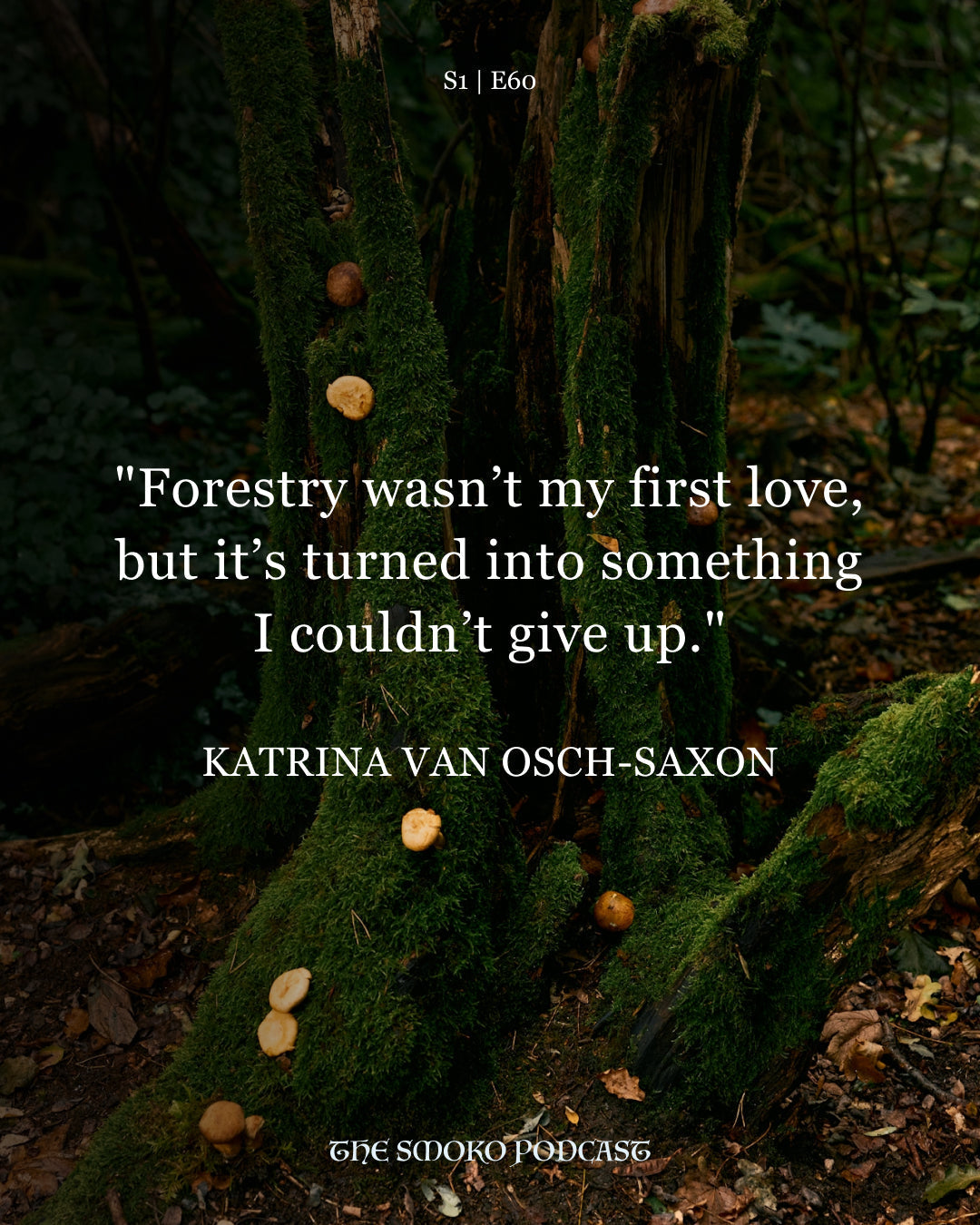 Katrina Van Osch-Saxon: Cultivating Urban Forests and Empowering Women ...
